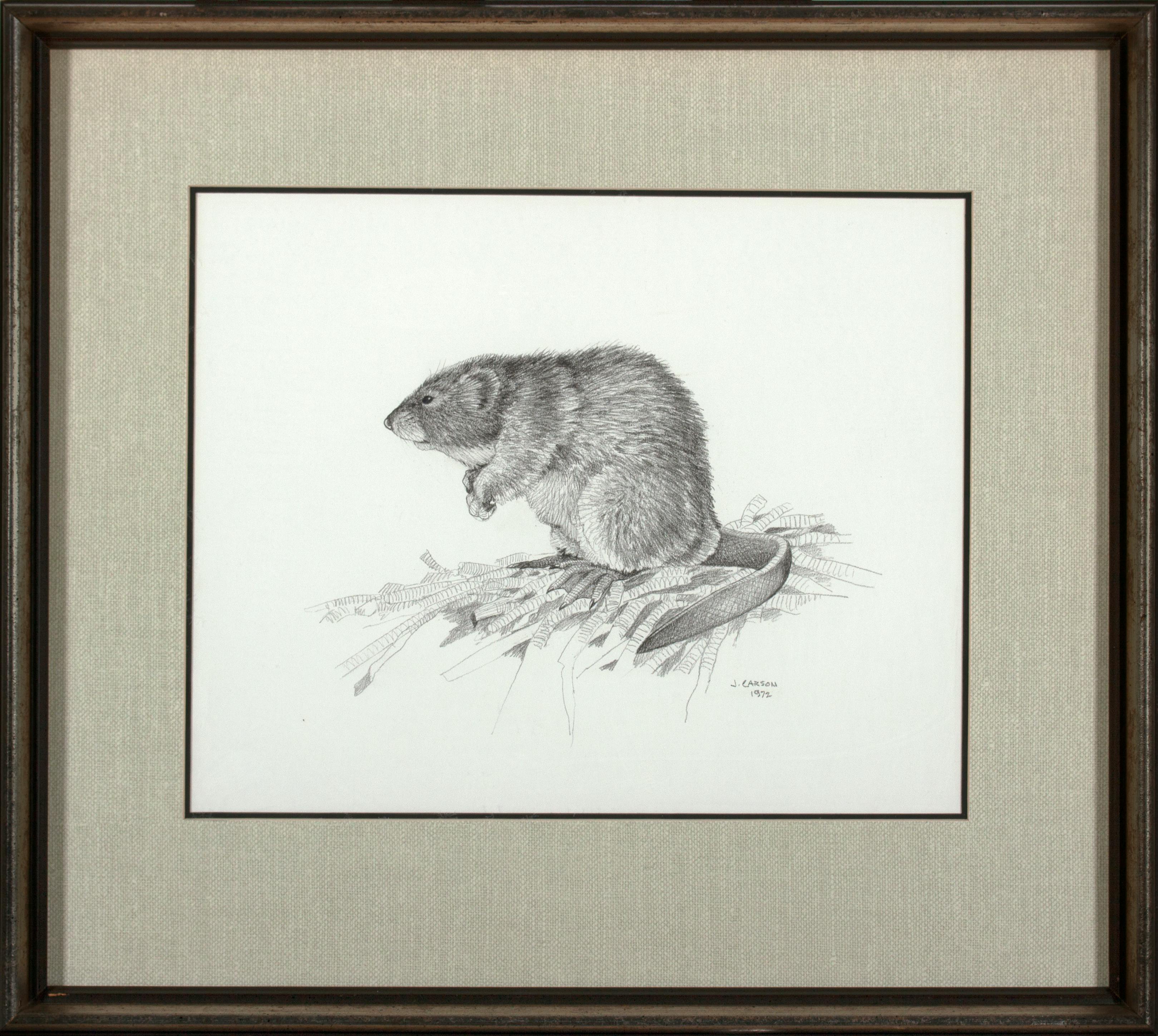 Purchase Muskrat by Jim Carson | 1972 | Mayberry Fine Art